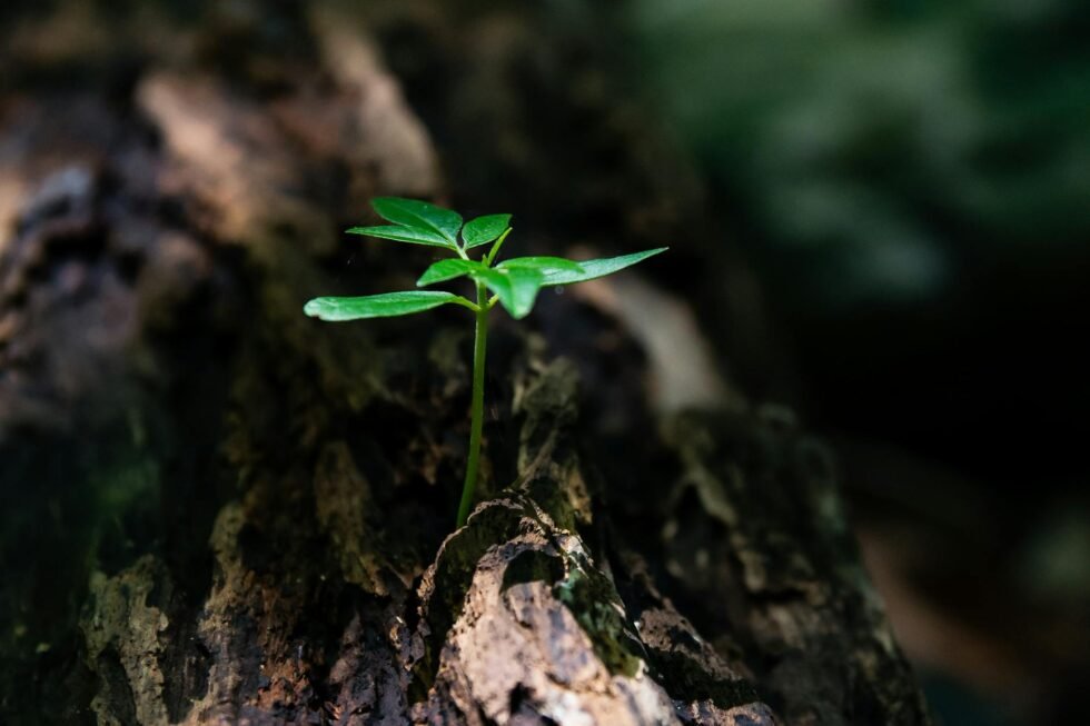 Investing In Your Spiritual Growth 3 | Dare To Dream Christian Center